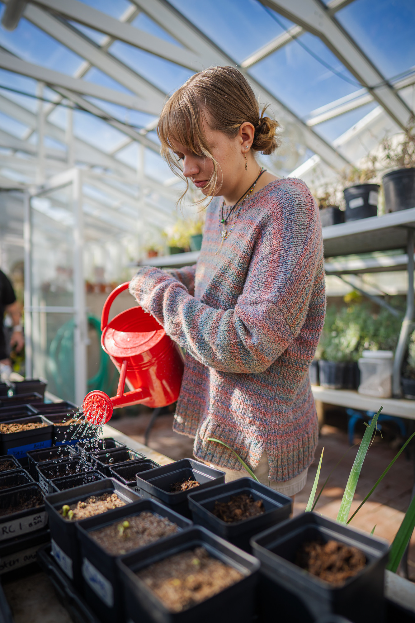 WNMU Plans Greenhouse to Combat Campus Food Insecurity | 94.3 The Mix ...