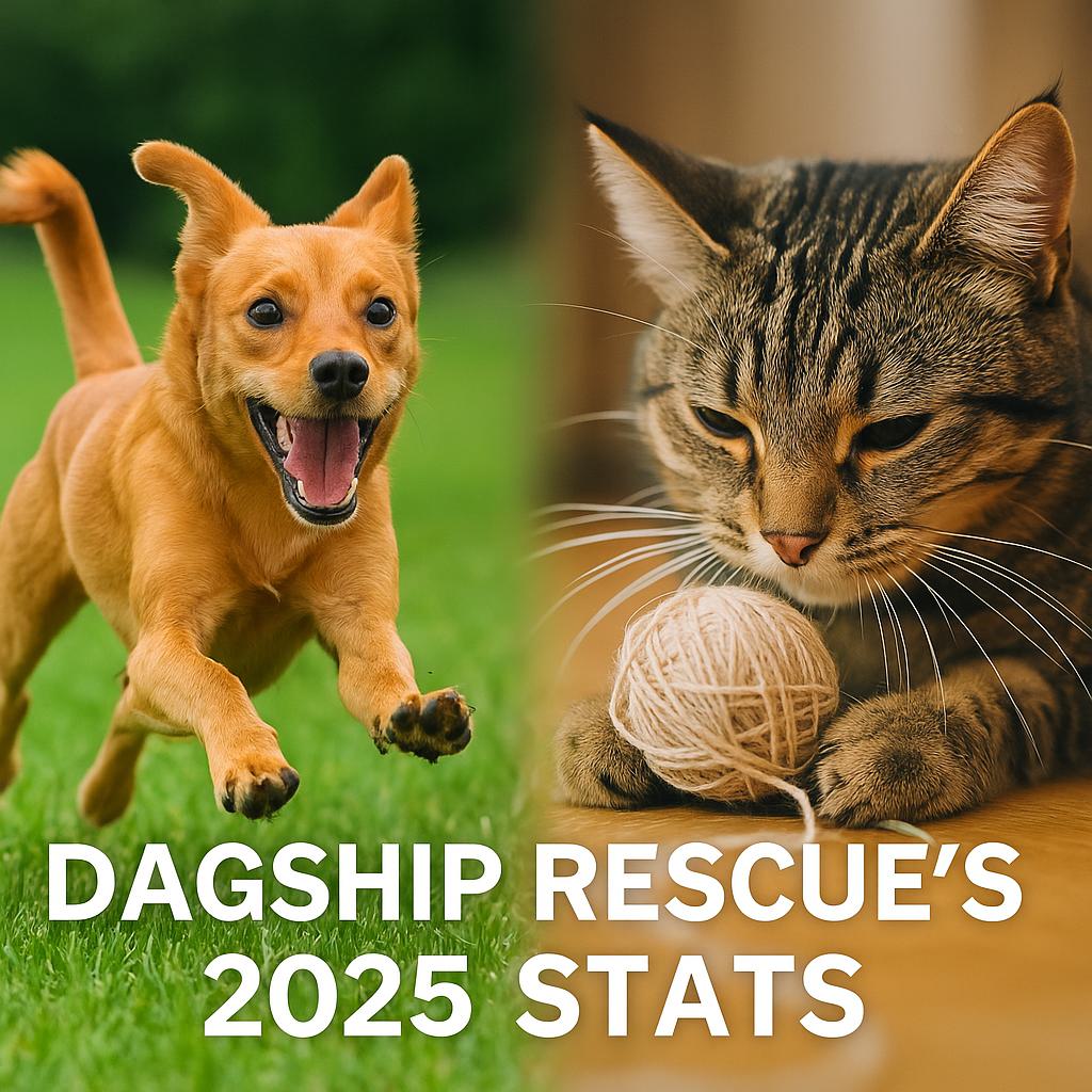 Animal Intakes Climb at Deming Animal Guardians and DAGSHIP Rescue in ...