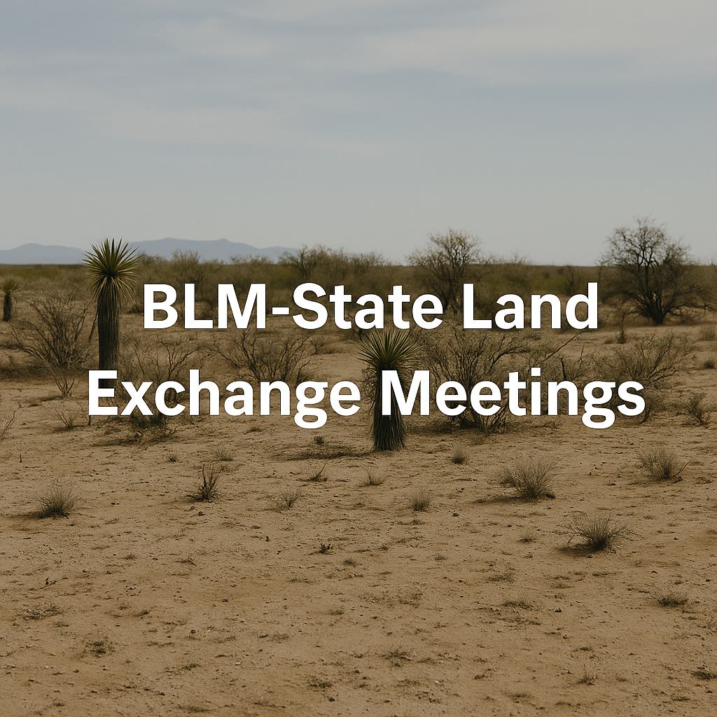 County Commission Quorum Possible at State Land Office Meeting | 94.3 ...