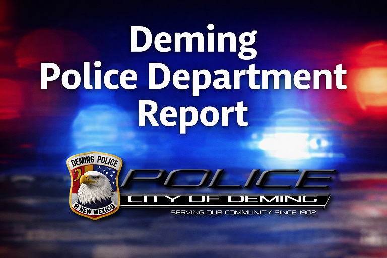 Police Report Details Arrests and Stolen Vehicle Investigation in ...