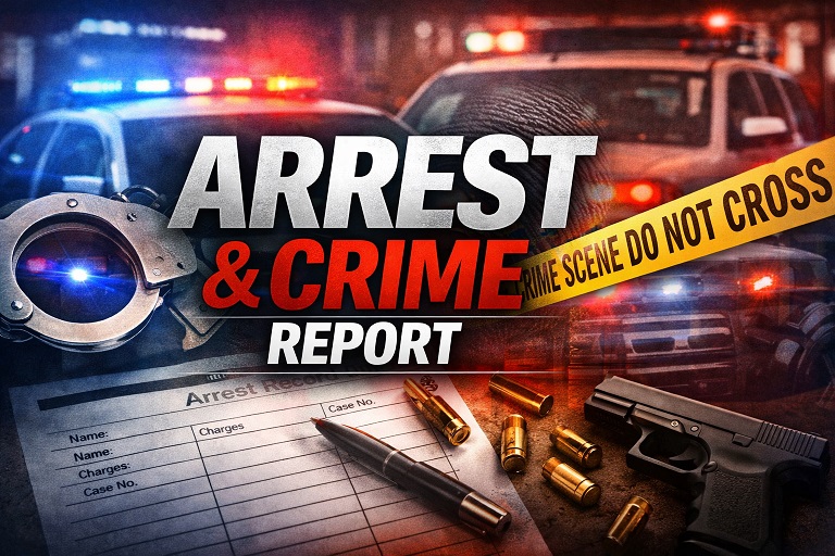 Busy Stretch for Deming Police Includes Arrests and Major Theft Cases ...